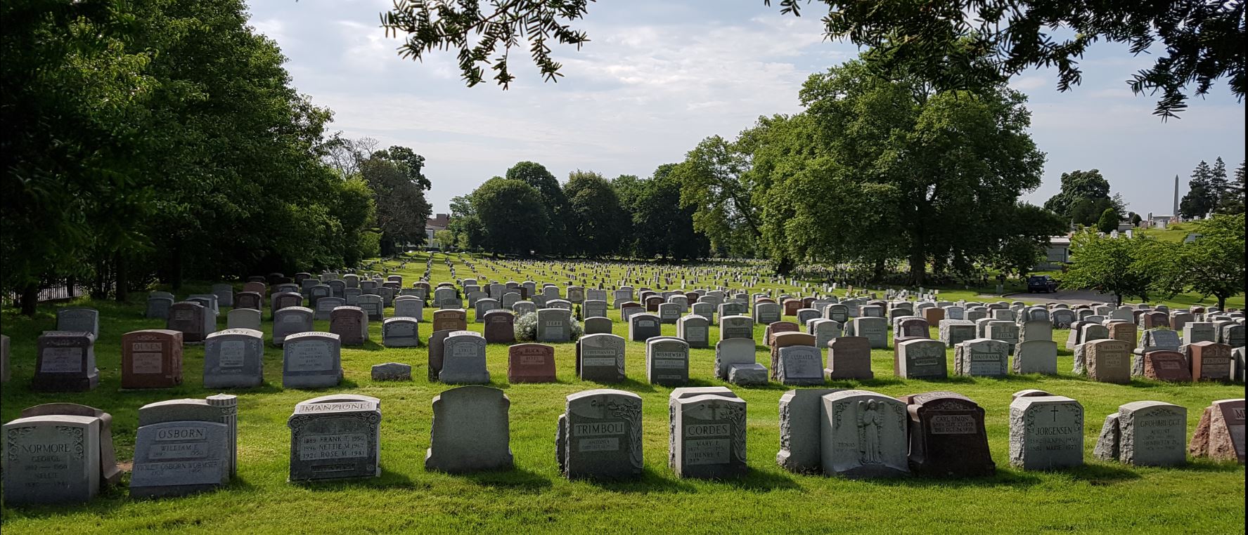 Hitta dina begravda på nätet | DIS